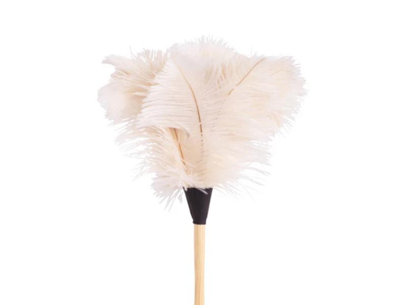 Ostrich White Feather Duster - 50cm – Curly Tree