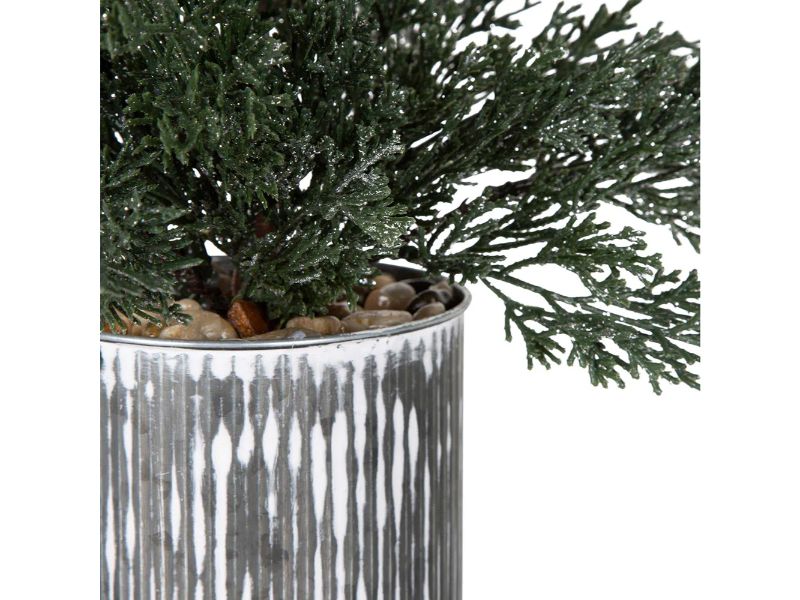 Potted Sparkle Mini Cedar Tree in Tin – Curly Tree